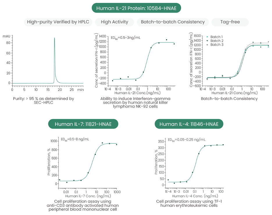 Common Gamma Chain Cytokines in Cancer Immunotherapy
