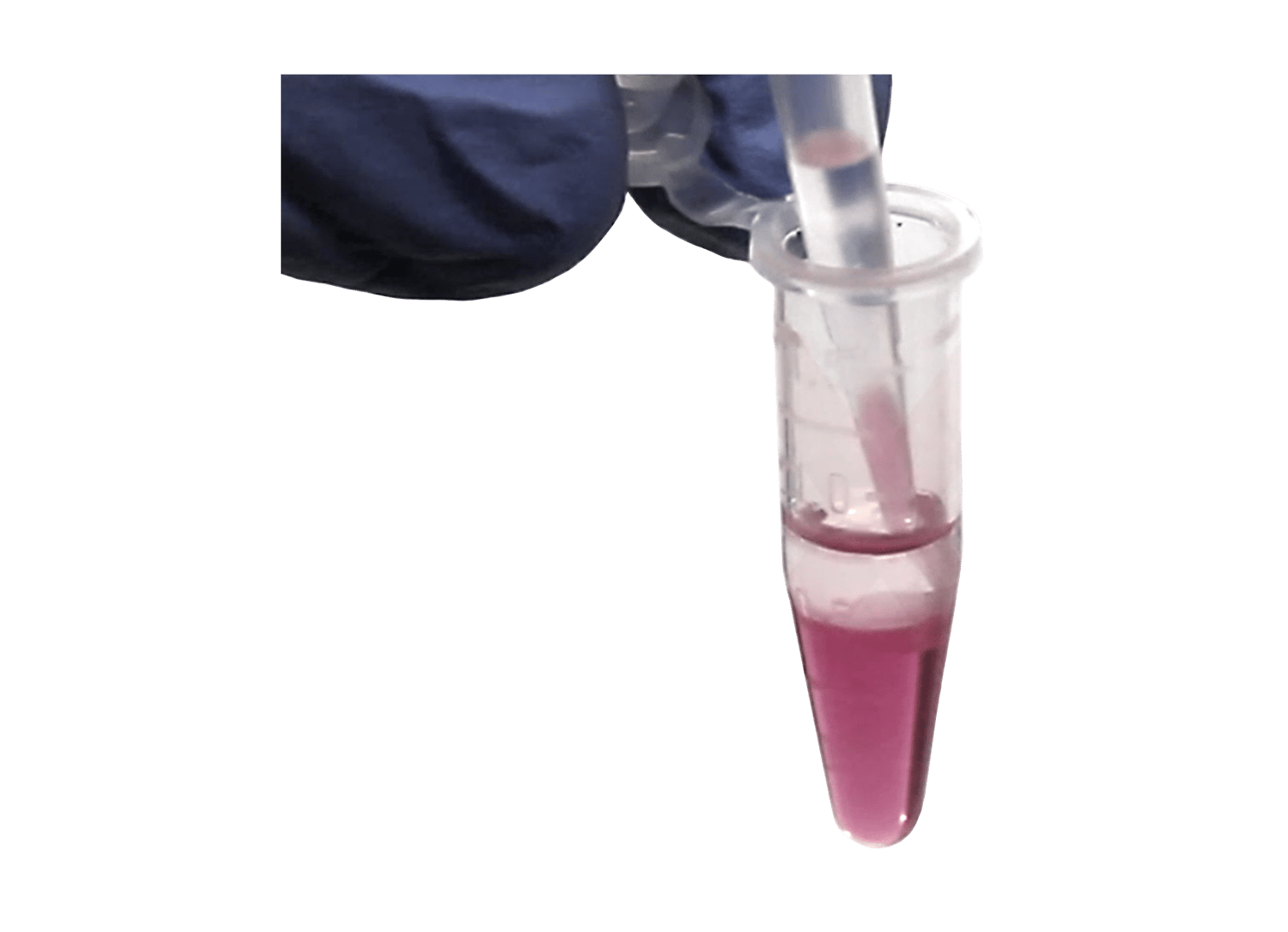 Optimizing Rna Extraction From Cells And Tissues With Trizol®